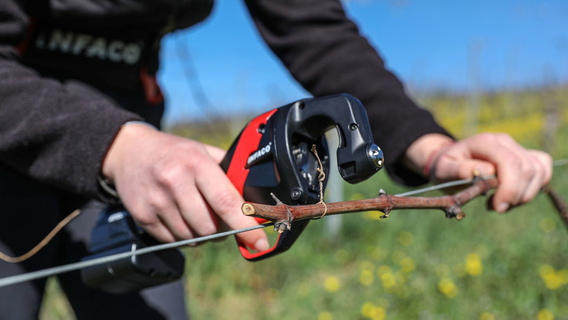 INFACO professional tying machines – INFACO USA