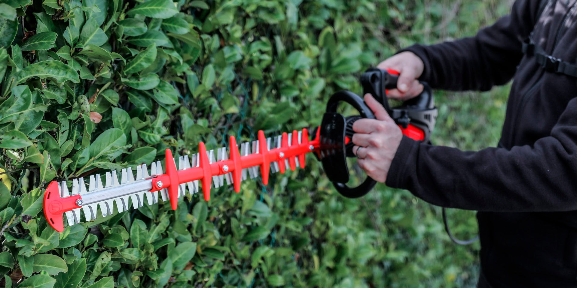 INFACO 48V Electro´liv dedicated olive harvester – INFACO USA