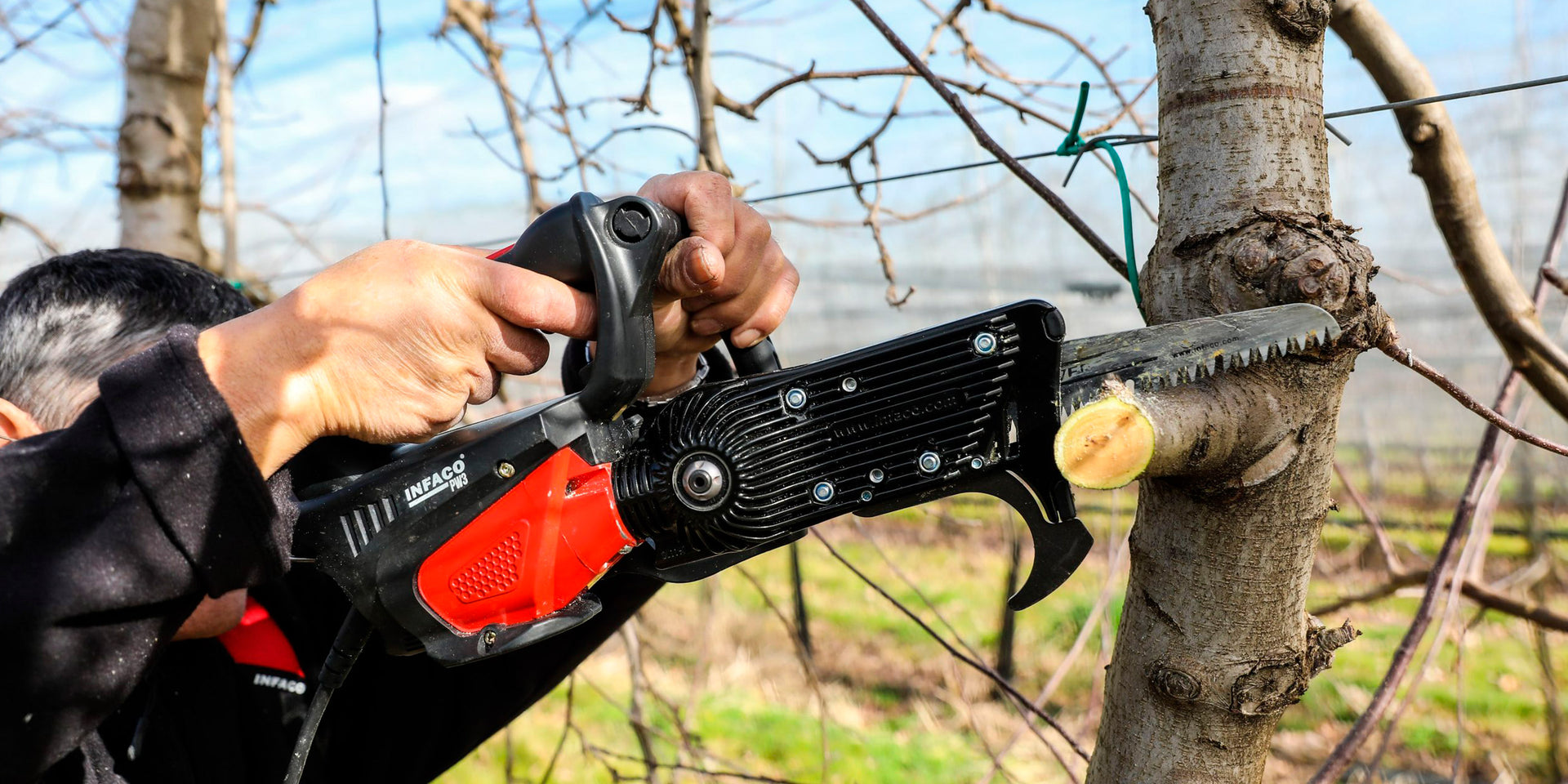 INFACO 48V Electro´liv dedicated olive harvester – INFACO USA